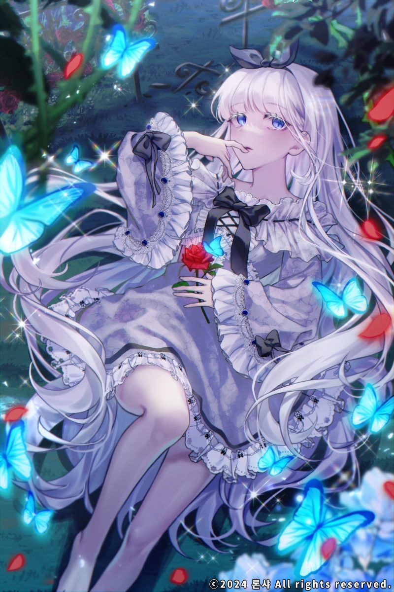 풀퀄리티 타입 /LD/SD | 론샤 | CREPE