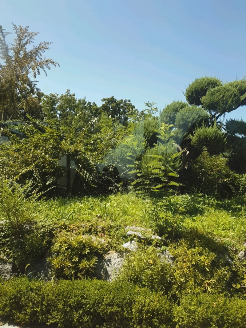 오리네 무엇이든 합니다 | 오리/나선 | CREPE